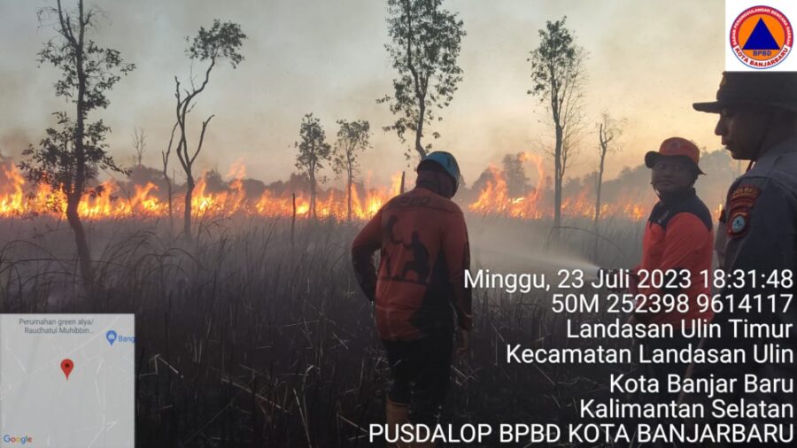 Hanguskan 10 Hektare Lahan, Karhutla di Guntung Manggis Diduga Faktor ...