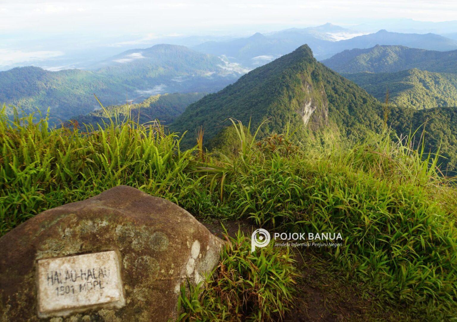 Catat! Pendakian Gunung Halau-halau bakal Ditutup pada 17 Januari ...